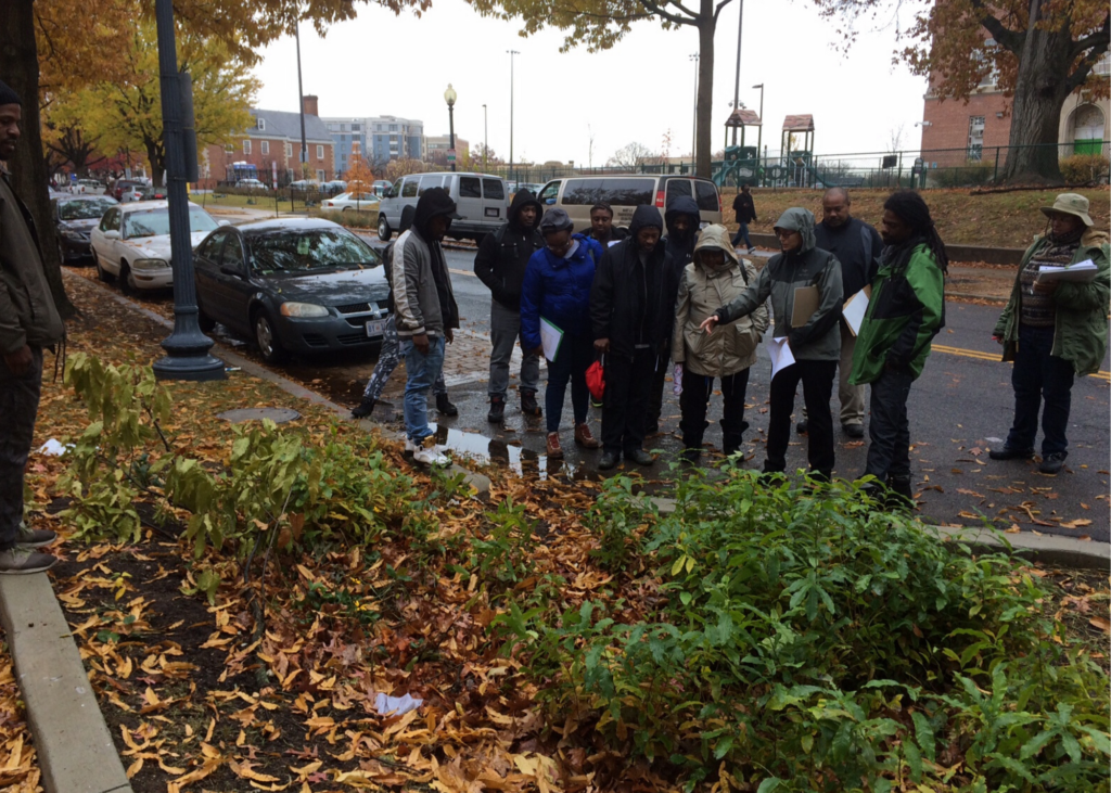 Green Corps | A ROCK, A RIVER, A TREE . . . A PARK FOR ALL PEOPLE!